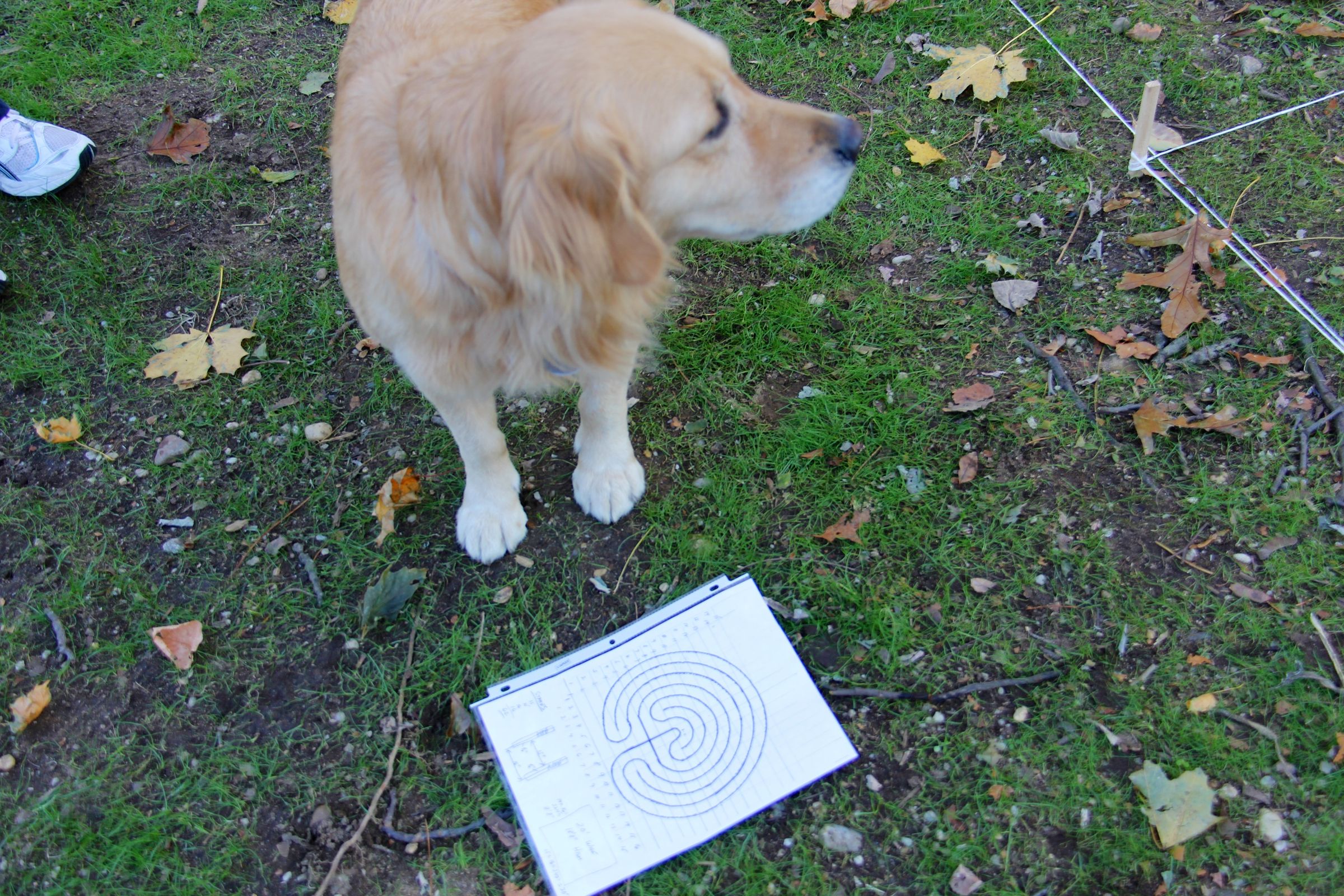 Build a Backyard Labyrinth : 20 Steps (with Pictures) - Instructables