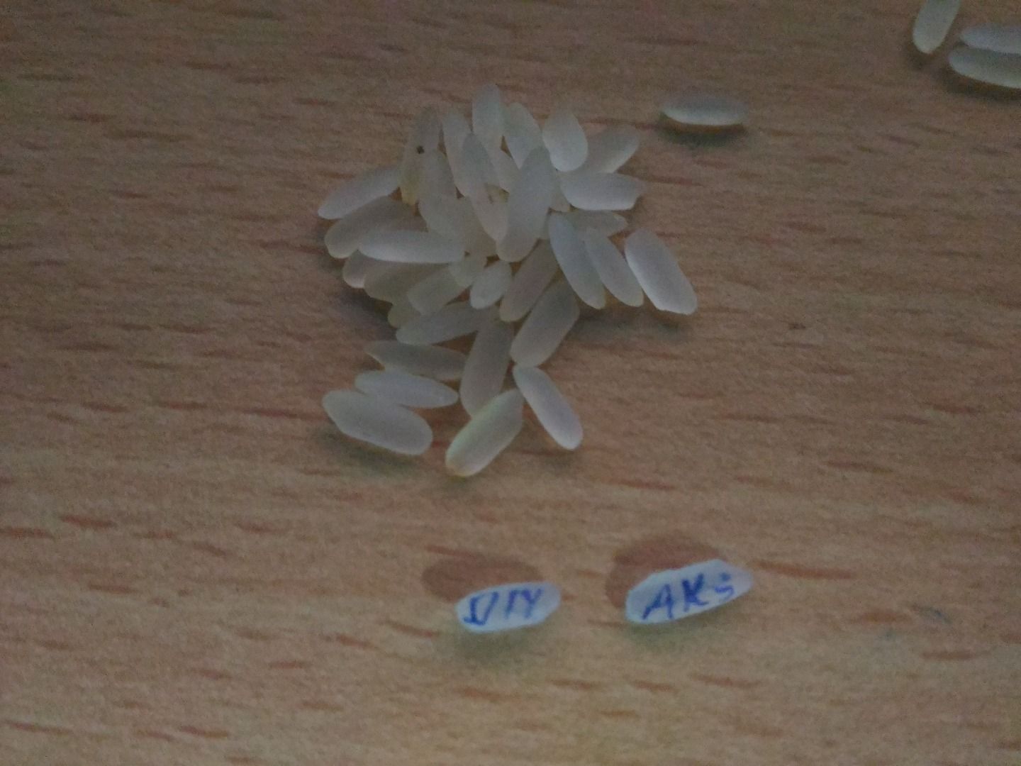 How to Write Name on Rice ? (with Pictures) - Instructables