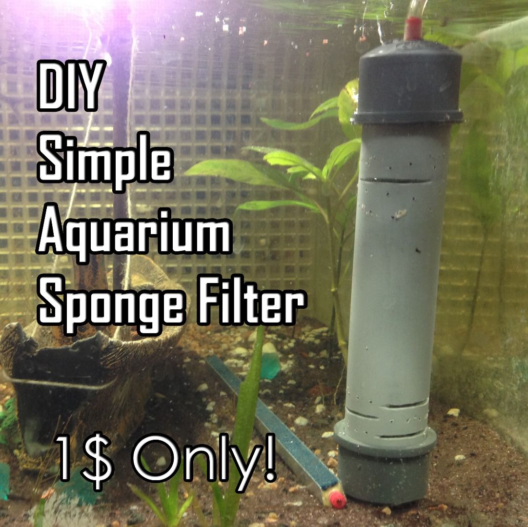 DIY Simple PVC Sponge Filter for Aquariums! : 9 Steps - Instructables