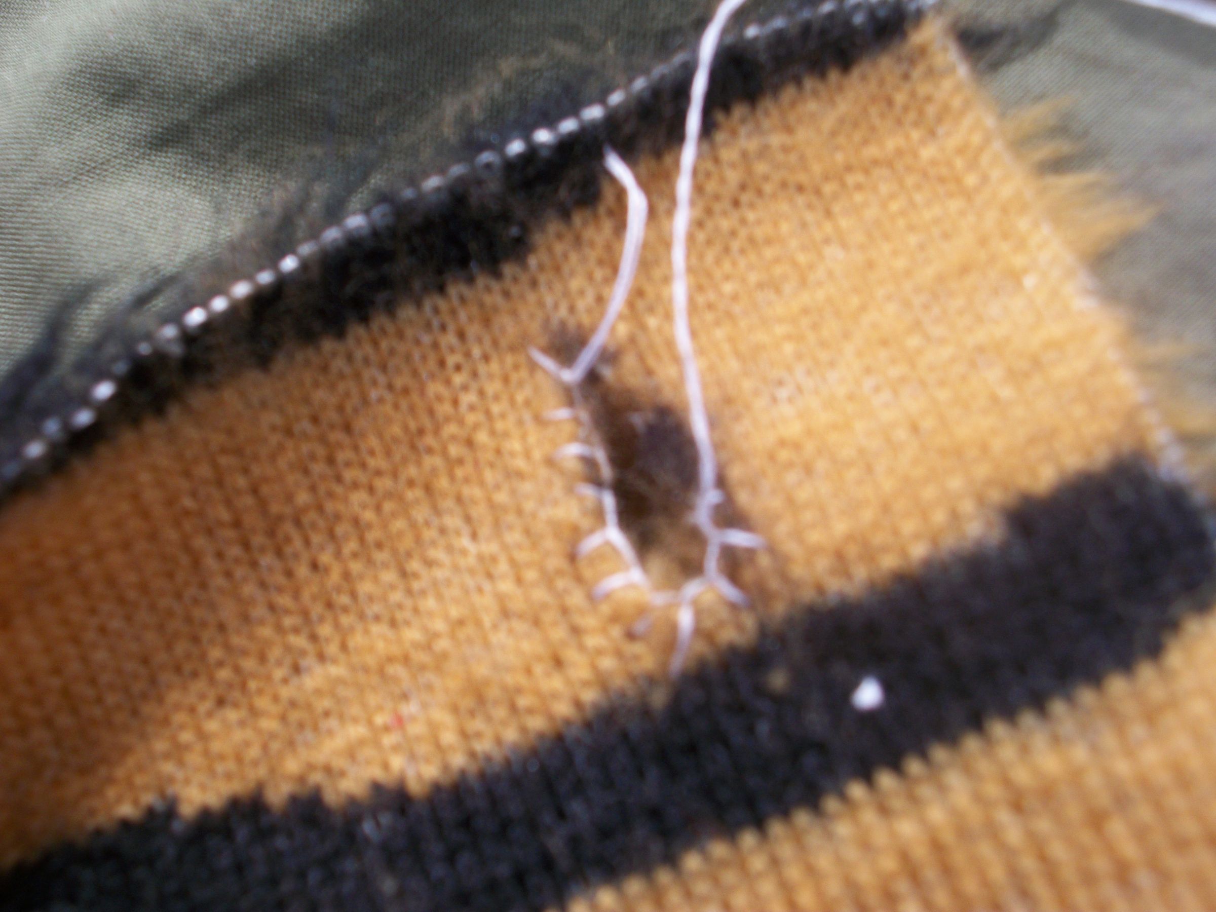 Removable Winter Jacket Liner : 7 Steps (with Pictures) - Instructables