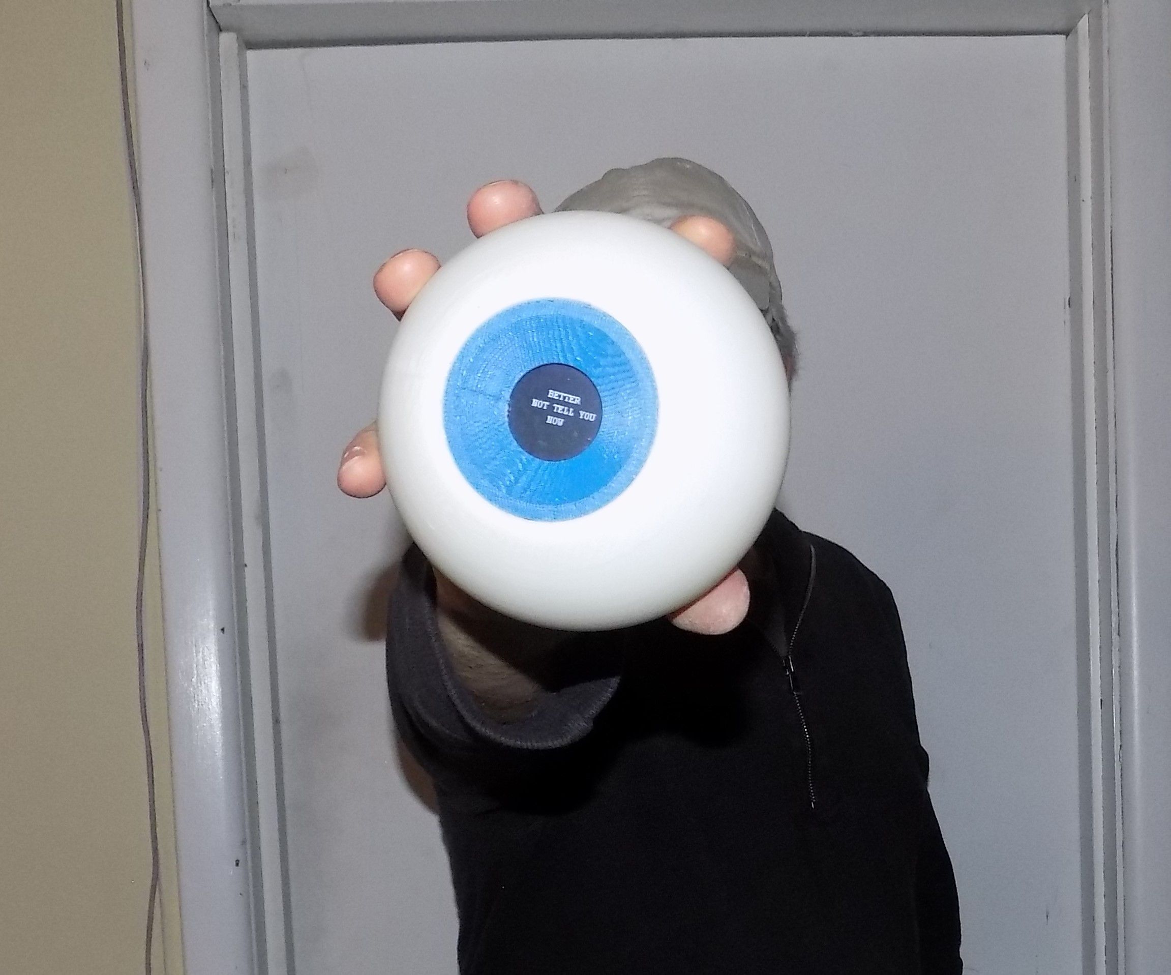 Electronic Magic 8 Ball and Eyeball : 11 Steps (with Pictures ...