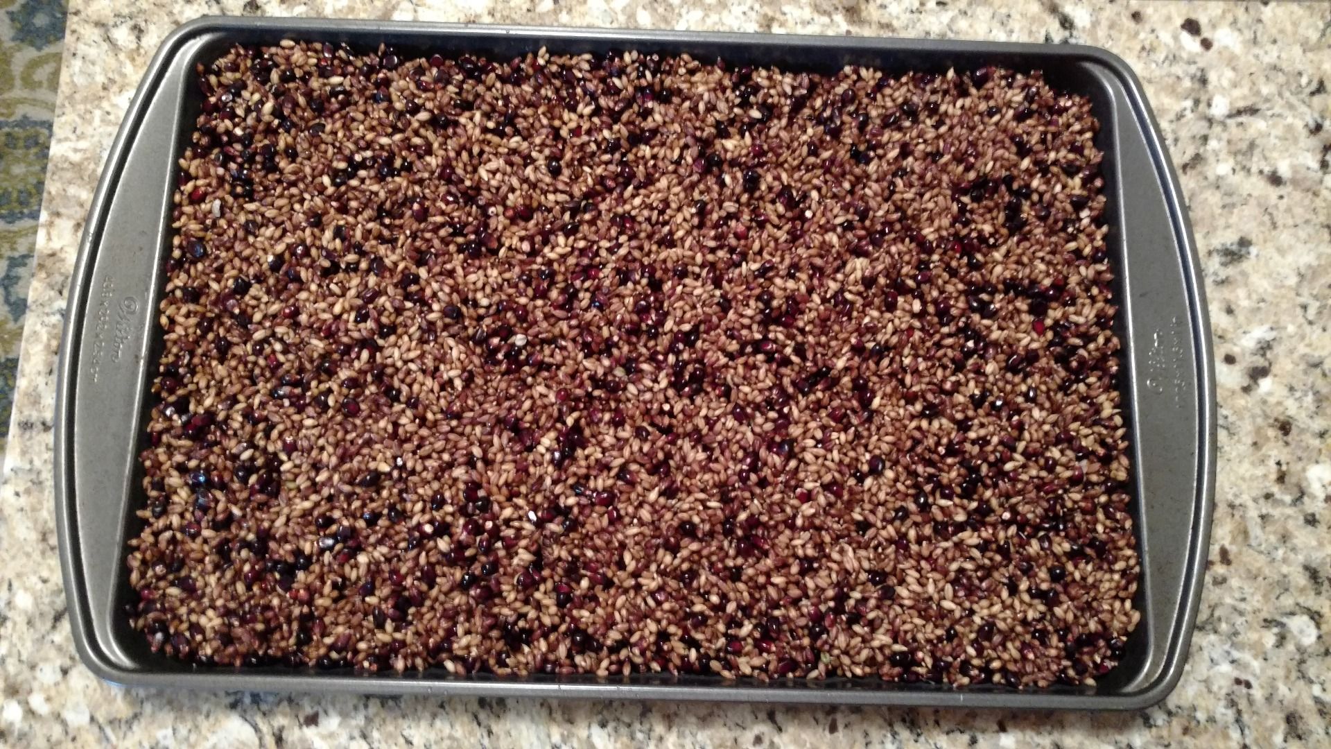 Malting Barley for Homebrewing : 8 Steps (with Pictures) - Instructables