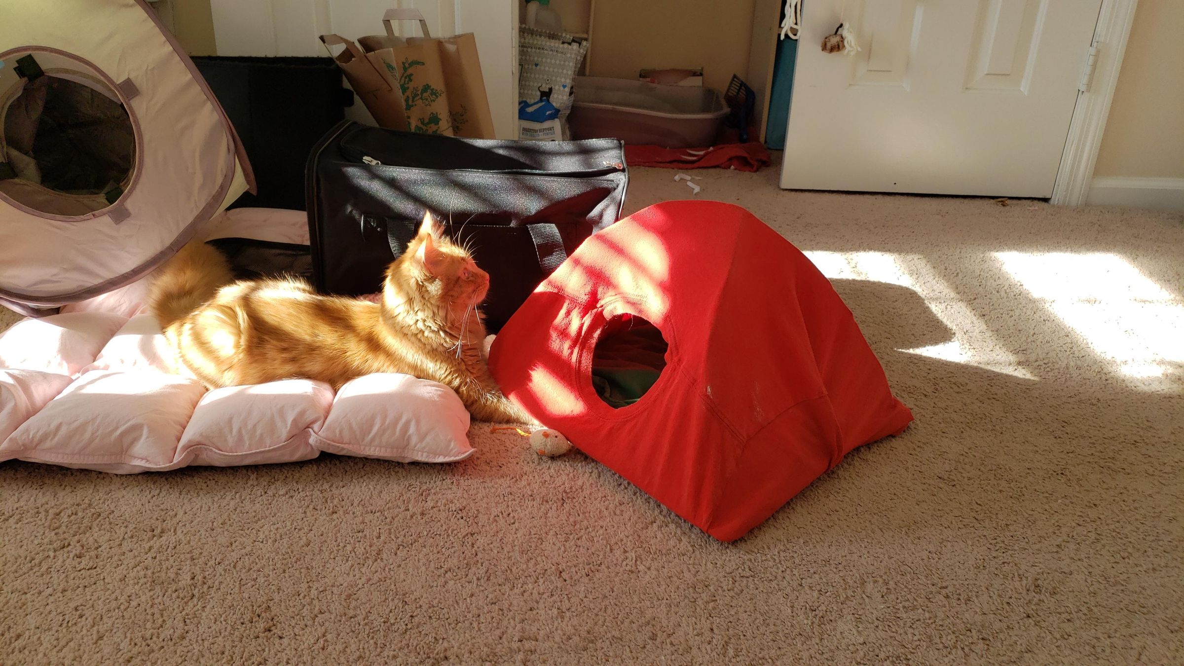 DIY Cat Tent : 9 Steps (with Pictures) - Instructables