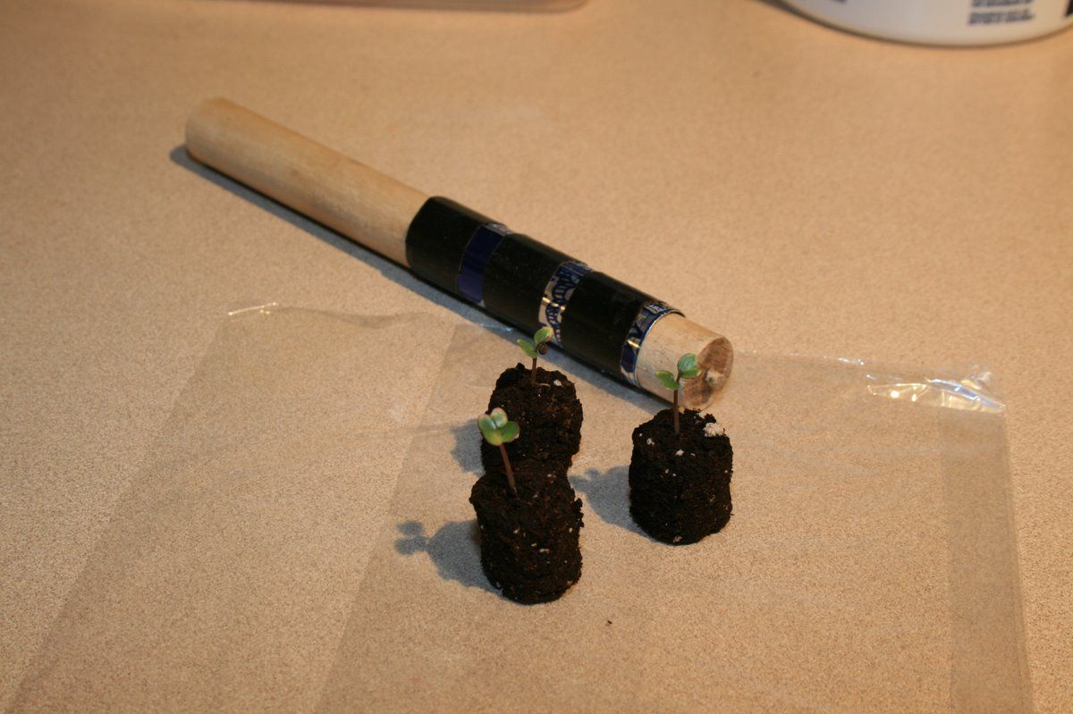 Making a Mini Soil Blocker : 5 Steps - Instructables