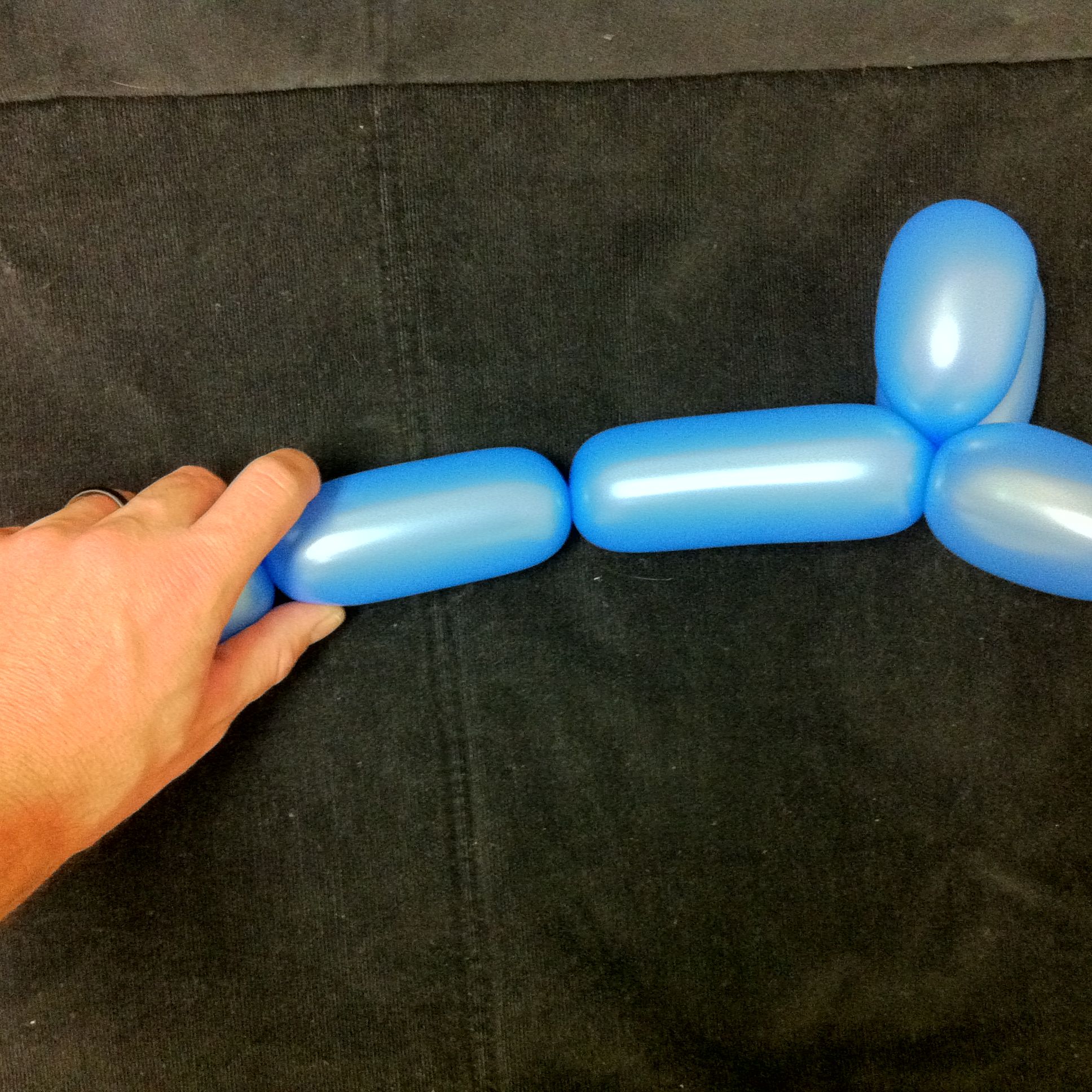 Balloon Animal - DOG : 7 Steps - Instructables