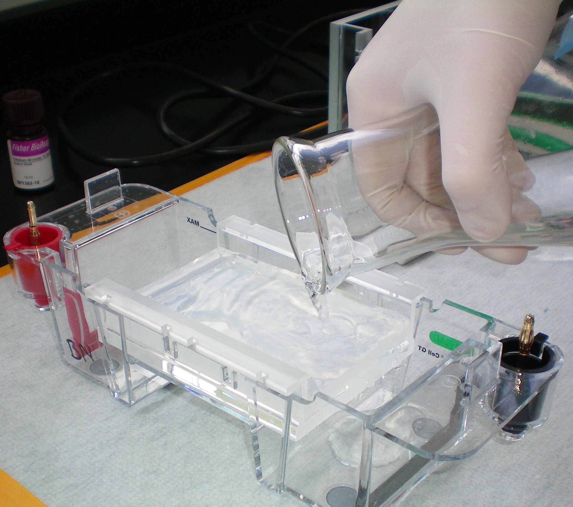How to Prepare an Electrophoresis Argarose Gel : 6 Steps (with Pictures ...