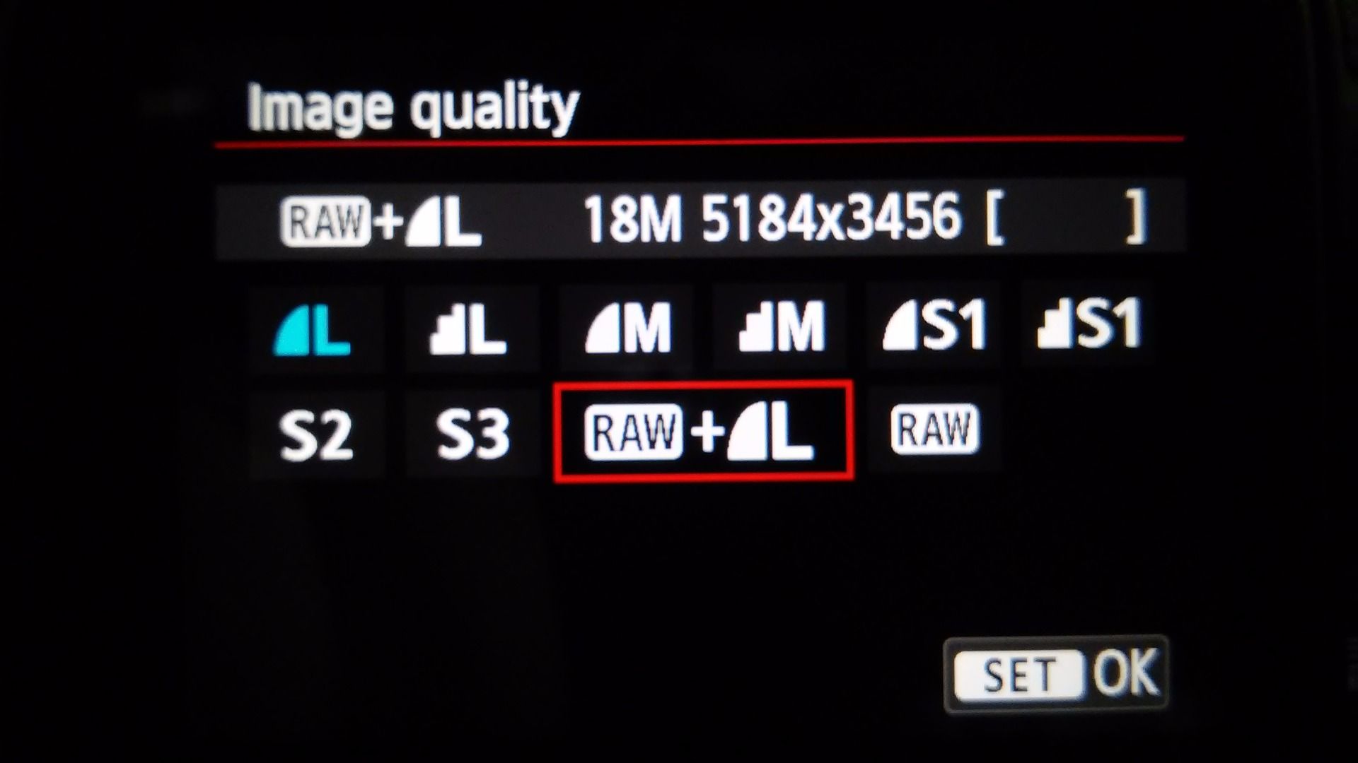 A Complete Beginner's Guide to Raw Files and Raw Processing : 11 Steps ...