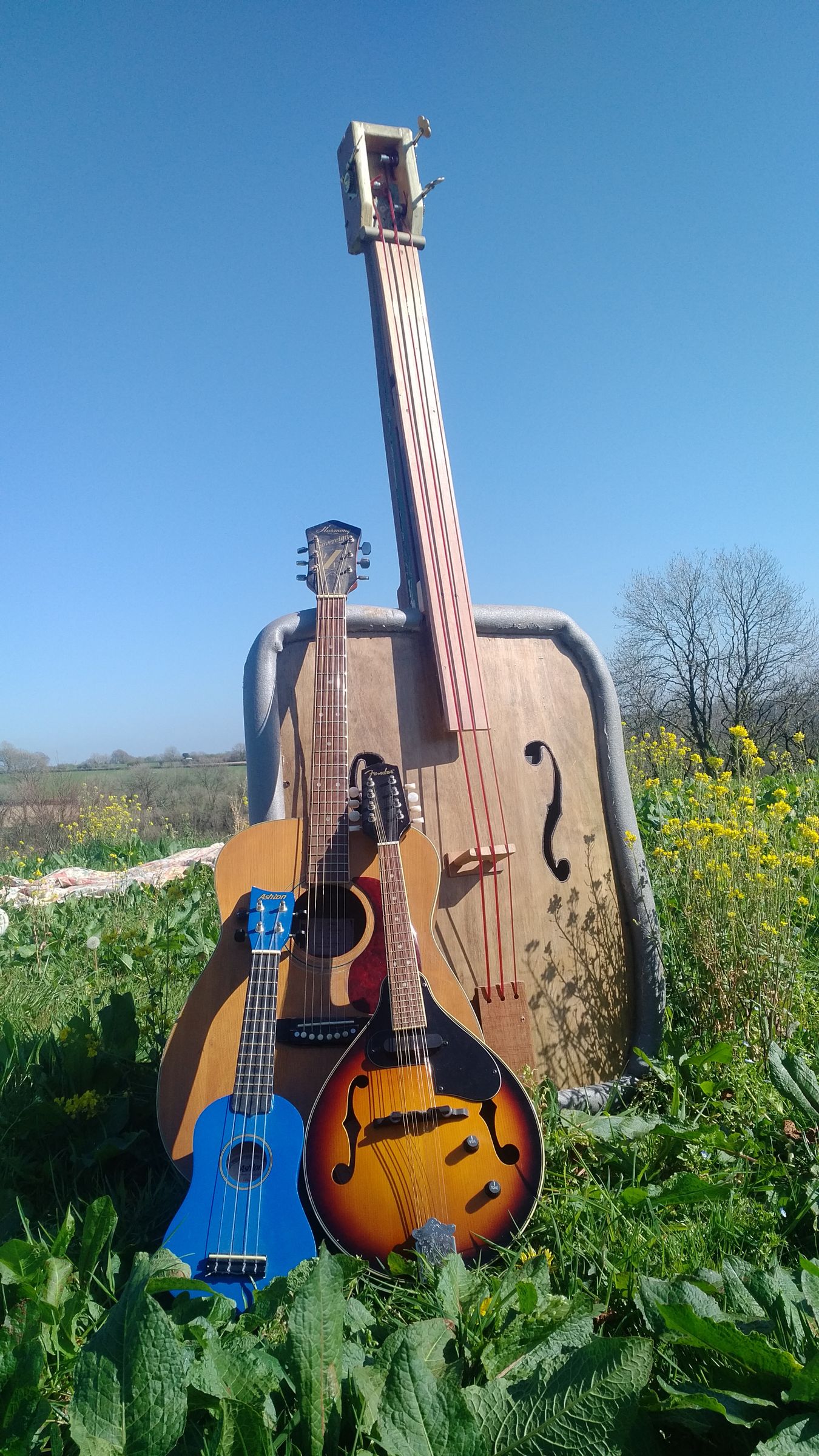 3-string Wheelbarrow Upright Bass : 12 Steps (with Pictures ...
