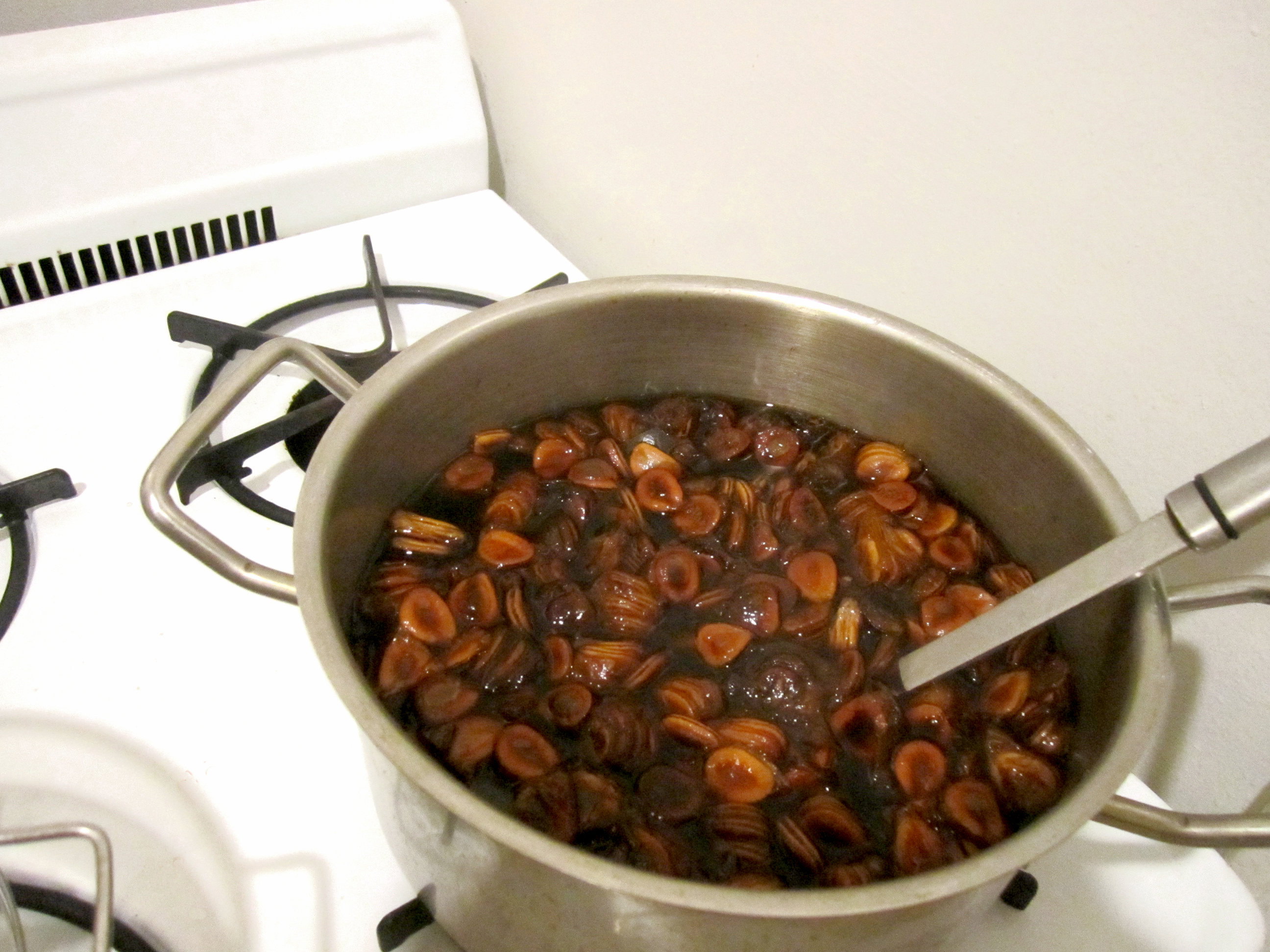 Monk Fruit Juice Extraction : 11 Steps (with Pictures) - Instructables