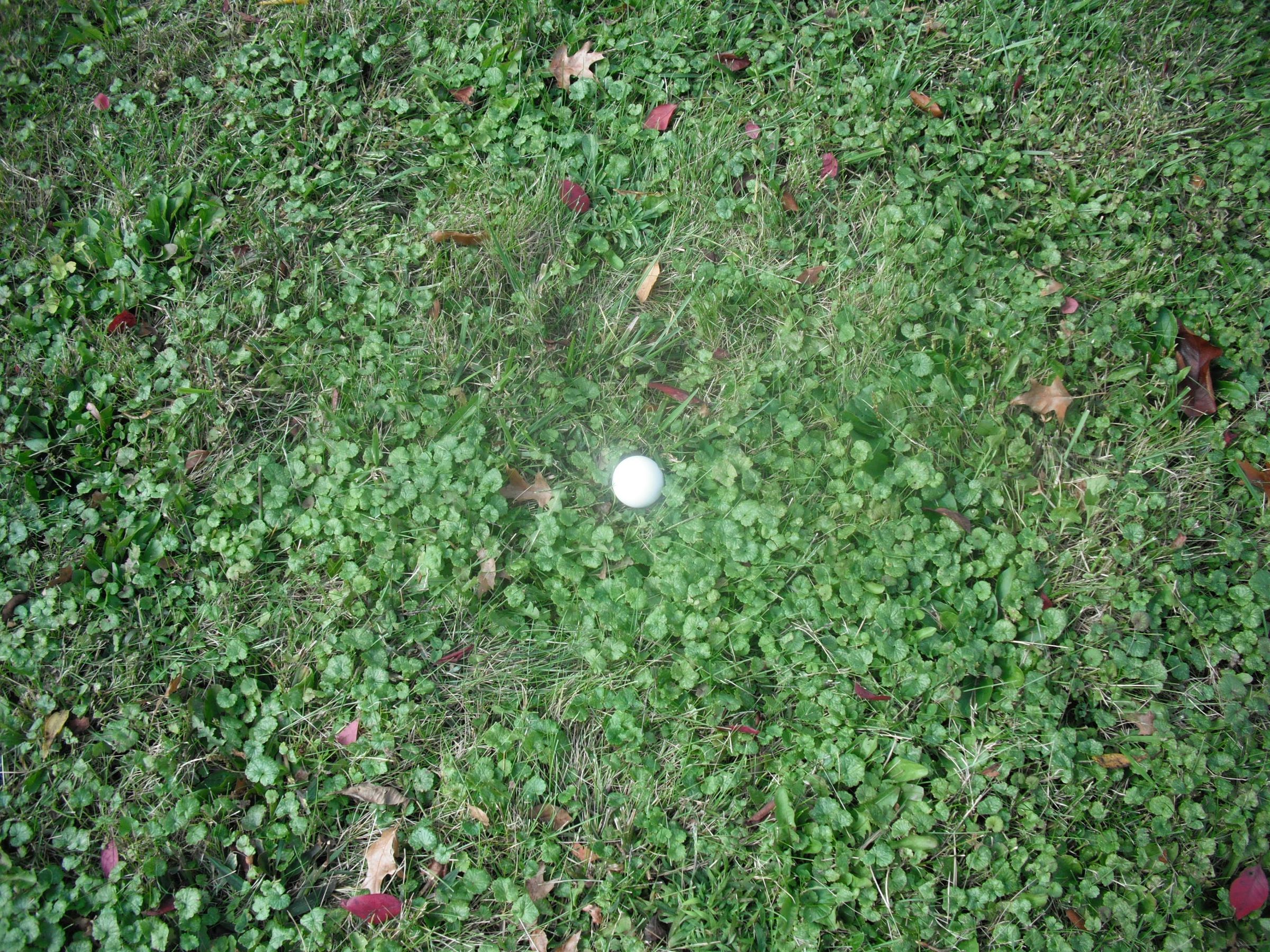 Backyard Bocce : 5 Steps (with Pictures) - Instructables