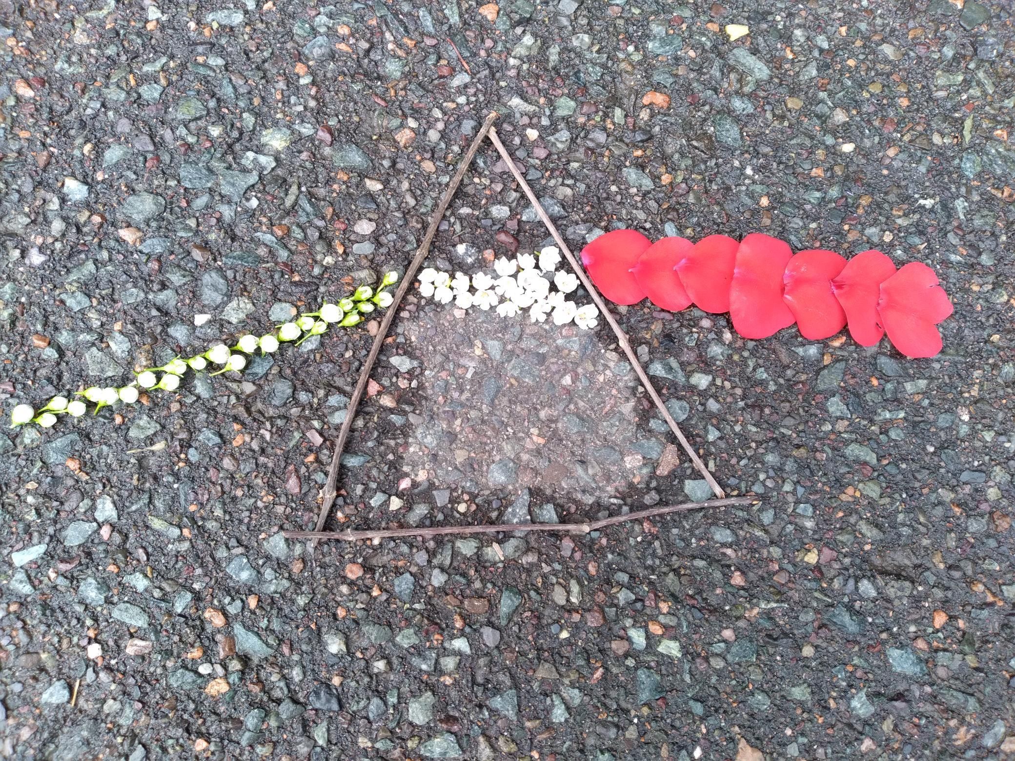 Ephemeral Nature Art - Dark Side of the Moon : 6 Steps (with Pictures ...