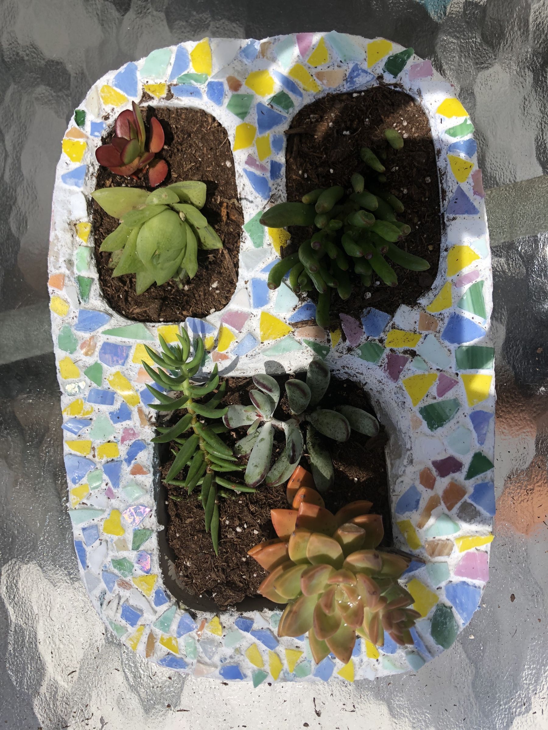 Cheap and Stylish DIY Concrete Pots : 9 Steps (with Pictures ...