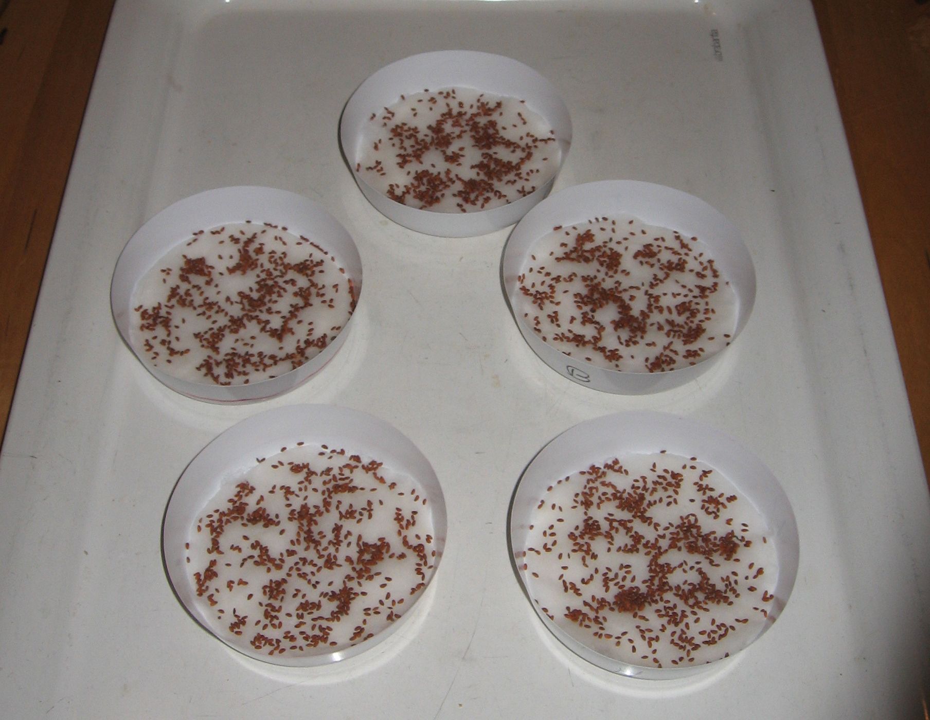 Pyramid Energy, Does It Exsist? (Research) : 10 Steps - Instructables