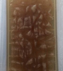 Kombucha Fabric : 6 Steps (with Pictures) - Instructables