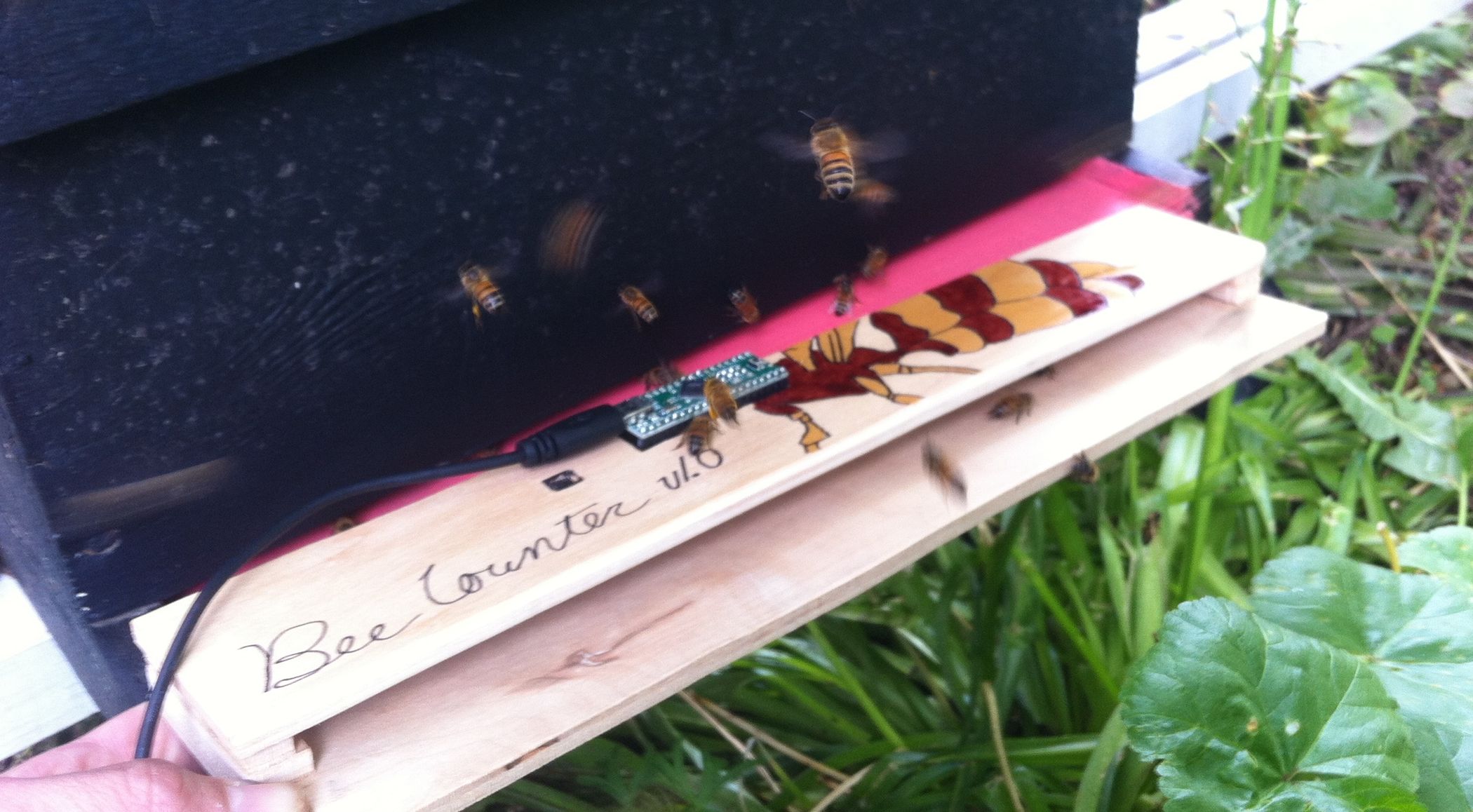 Honey Bee Counter : 4 Steps (with Pictures) - Instructables