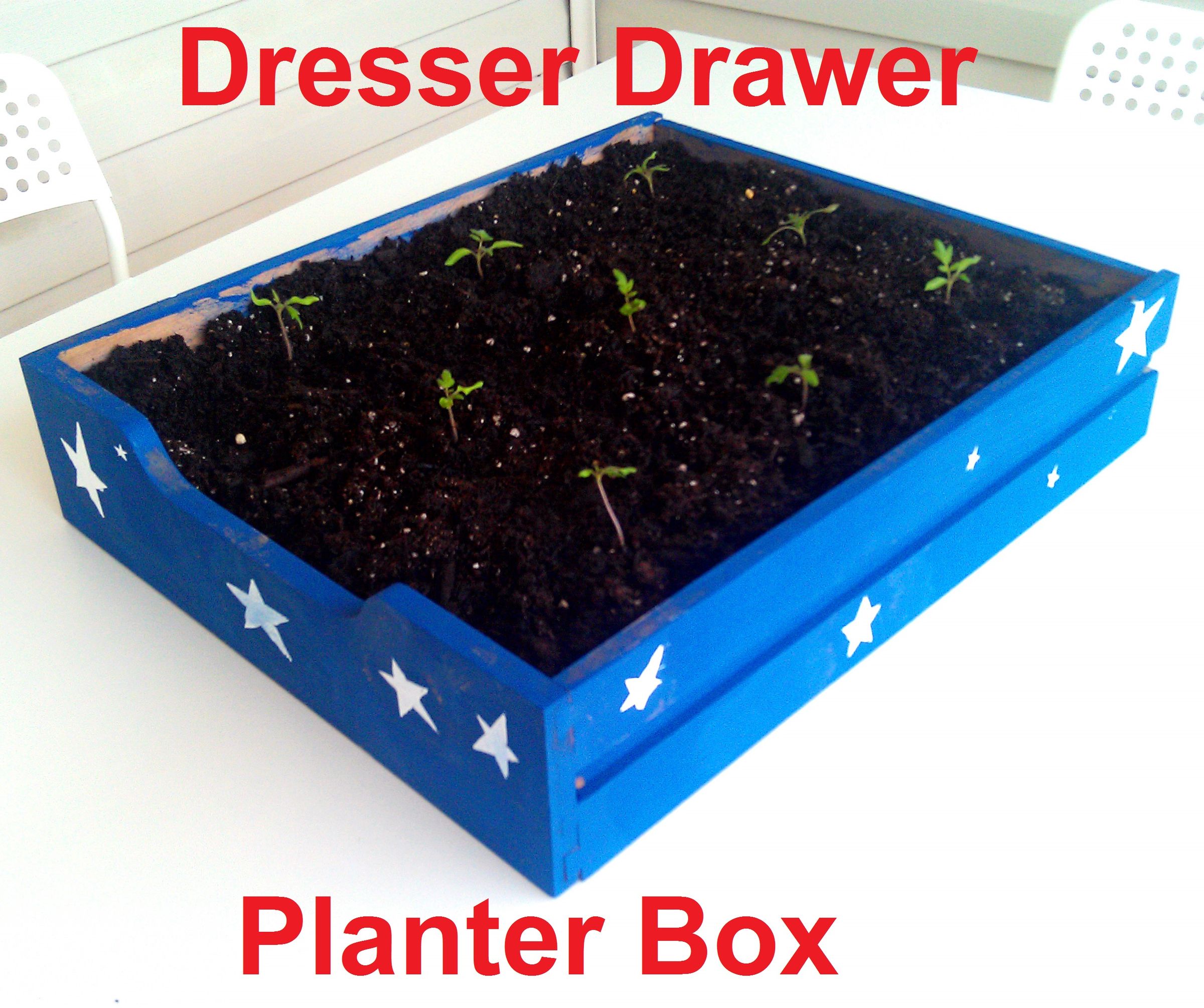 Dresser Drawer Planter Box : 5 Steps (with Pictures) - Instructables