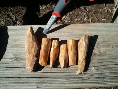 Finding Fatwood : 5 Steps - Instructables