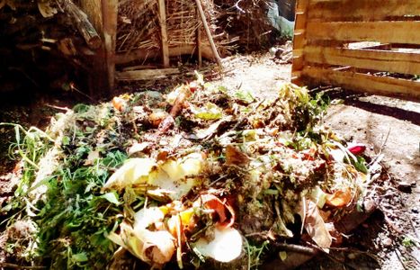 The Complete Vegan Compost : 5 Steps (with Pictures) - Instructables