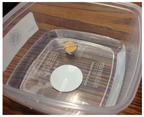 Homemade Compass : 7 Steps - Instructables