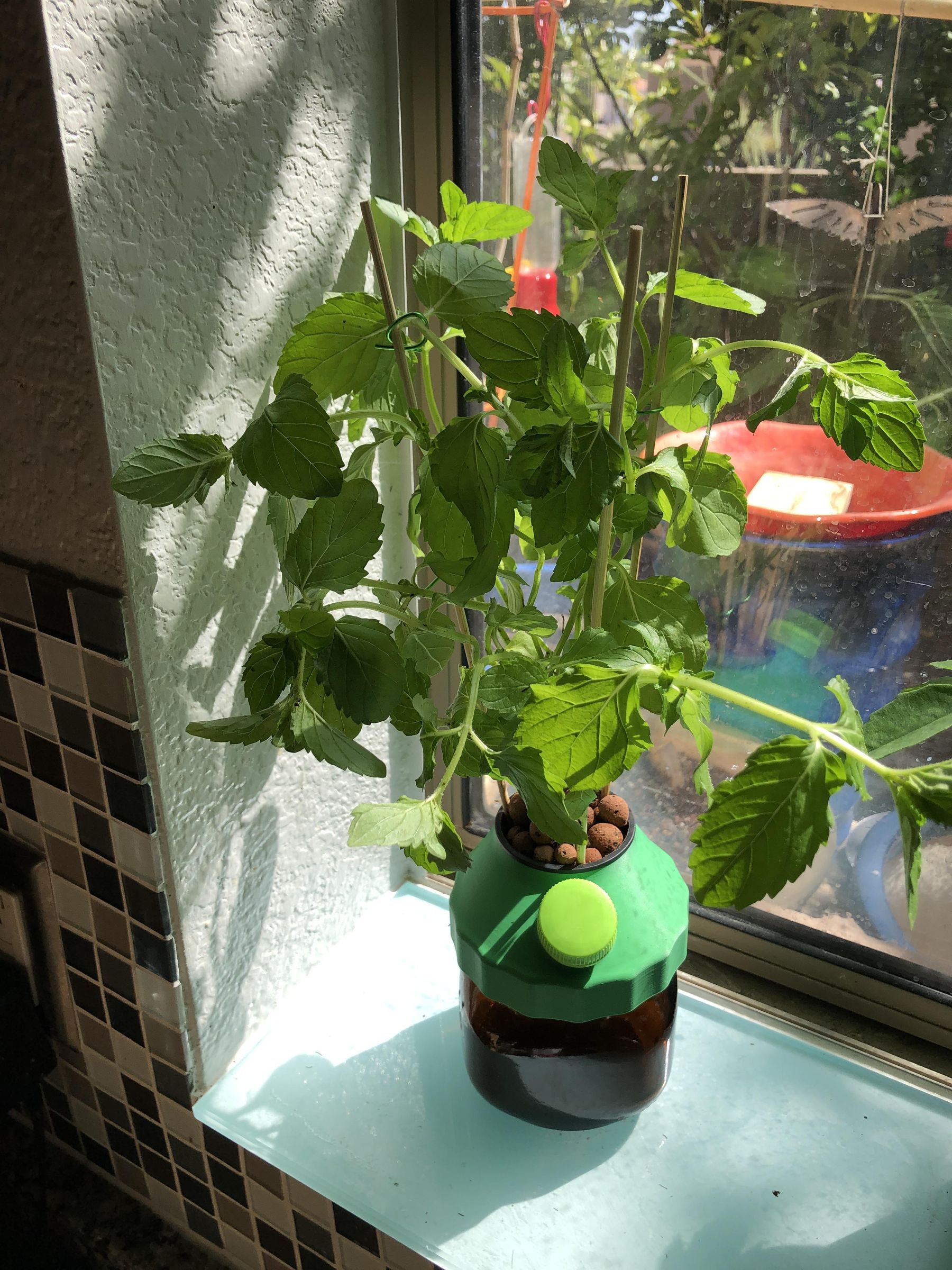 Mini Kratky Jars - Easy Hydroponics : 12 Steps (with Pictures ...