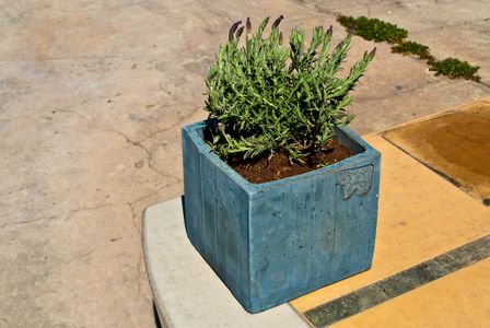 DIY CONCRETE:: Planter Box : 4 Steps (with Pictures) - Instructables