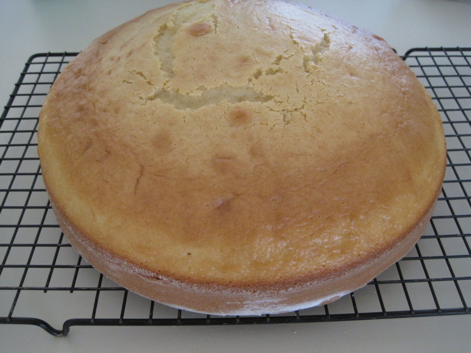 Easy Ferret Shaped Cake : 4 Steps (with Pictures) - Instructables