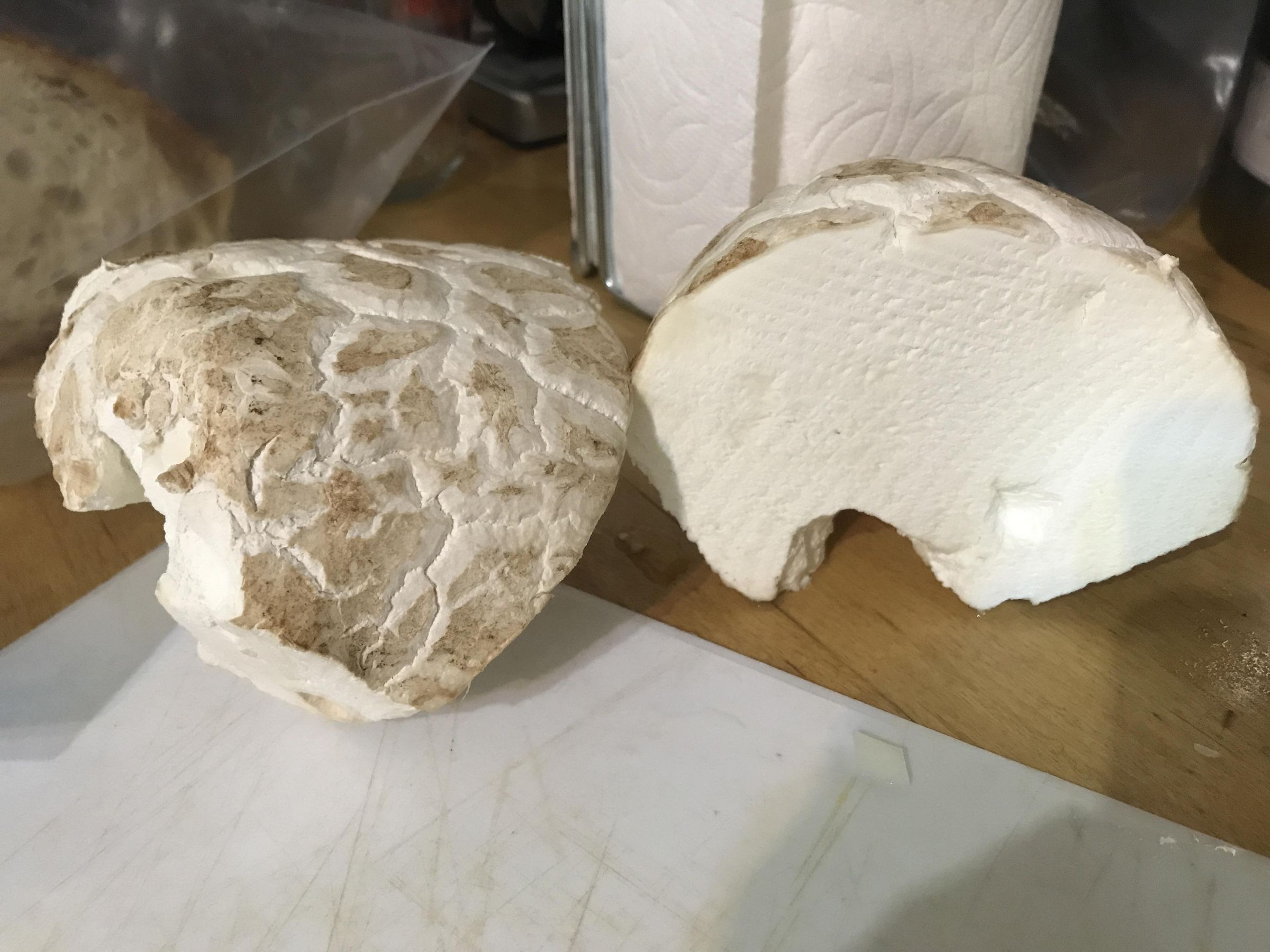 Cream of Giant Puffball Soup : 7 Steps (with Pictures) - Instructables