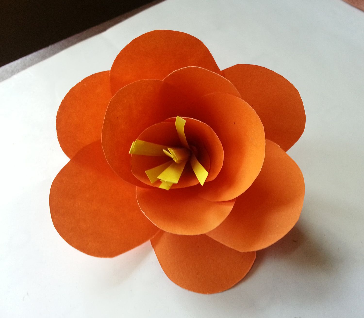 DIY Paper Flowers (Folding Tricks) : 5 Steps (with Pictures ...