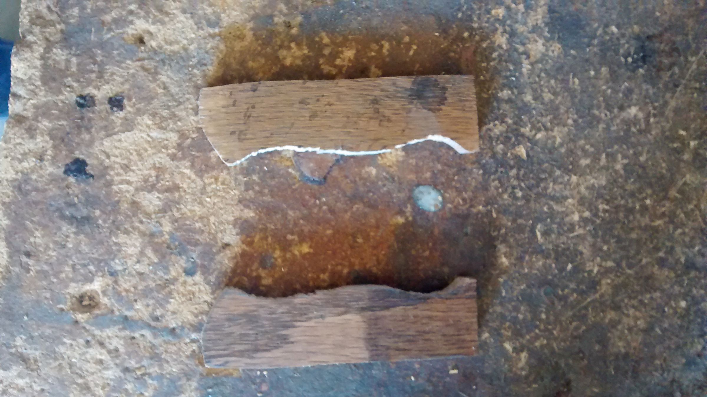 Homemade Knife From a File : 22 Steps (with Pictures) - Instructables