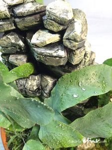 DIY Miniature Terrarium Waterfall : 7 Steps (with Pictures) - Instructables