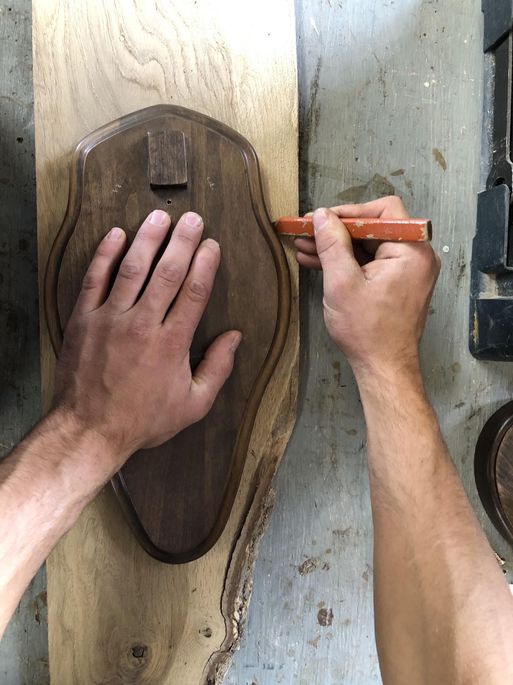 How to Build a European Mount Plaque : 6 Steps - Instructables