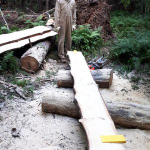 The Timber Lumber Mover : 4 Steps (with Pictures) - Instructables