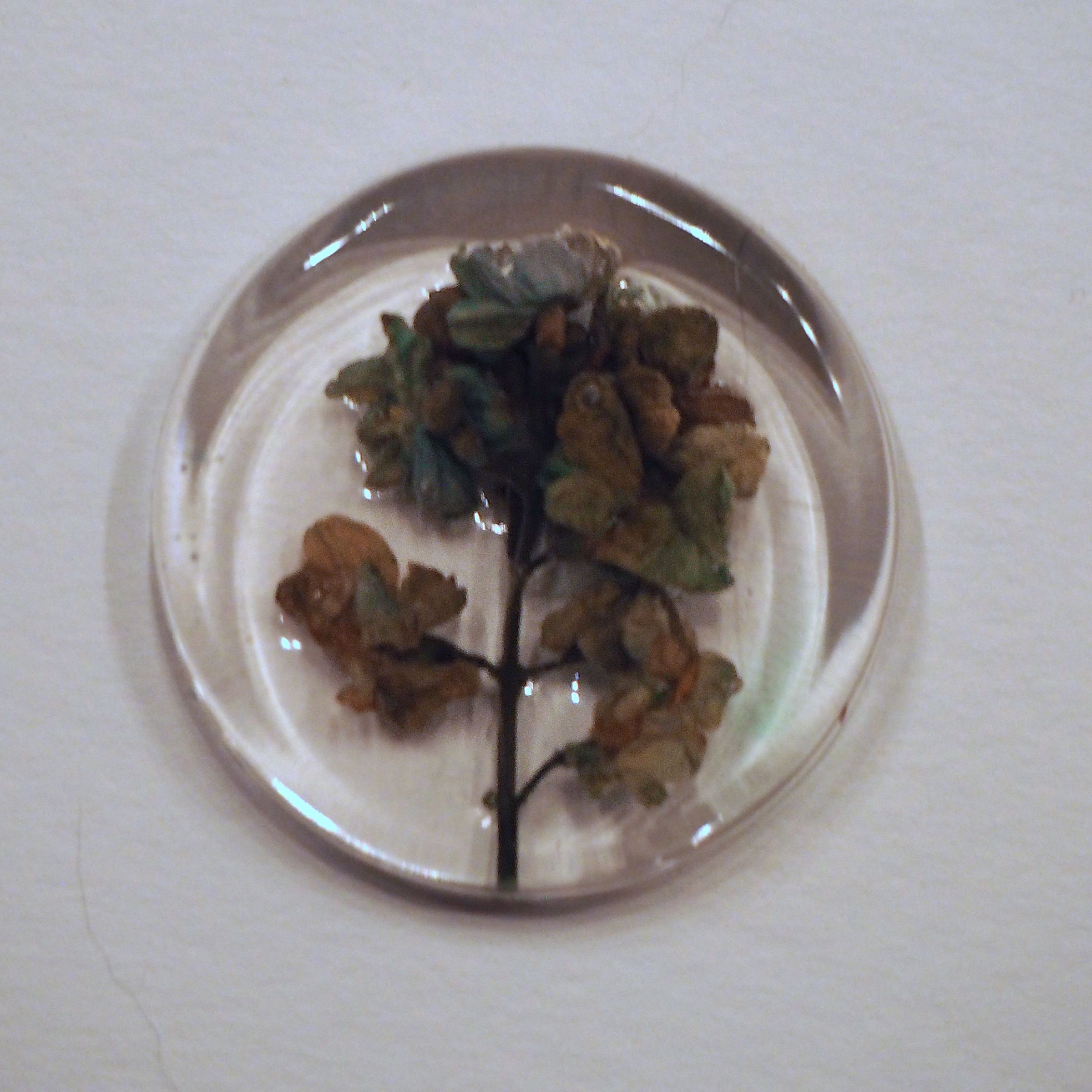 Techniques to Embed Flowers in Resin : 12 Steps (with Pictures ...