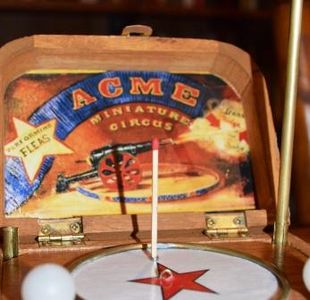 Make Your Own Flea Circus : 15 Steps (with Pictures) - Instructables