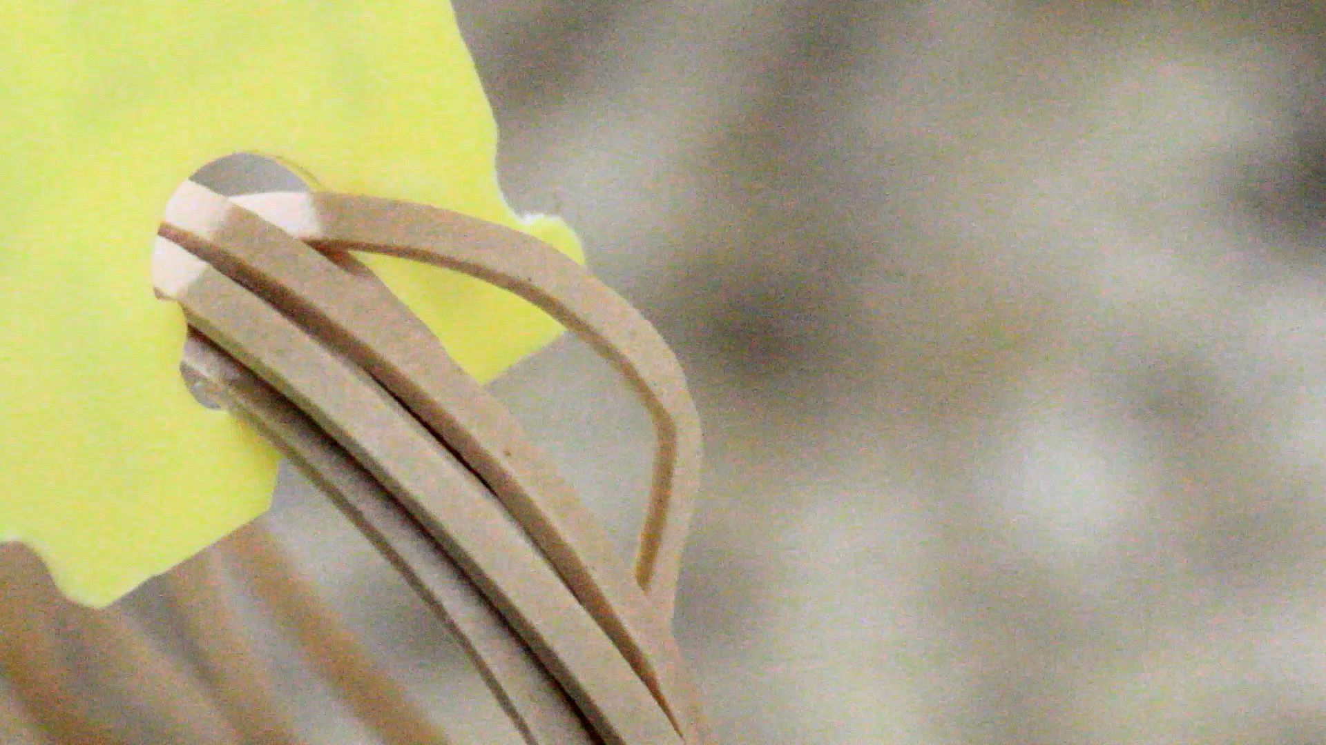 10 Ingenious Bread Clip and Twist Tie Life Hacks : 12 Steps - Instructables