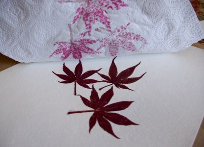 Hammered Leaf and Flower Prints : 12 Steps (with Pictures) - Instructables