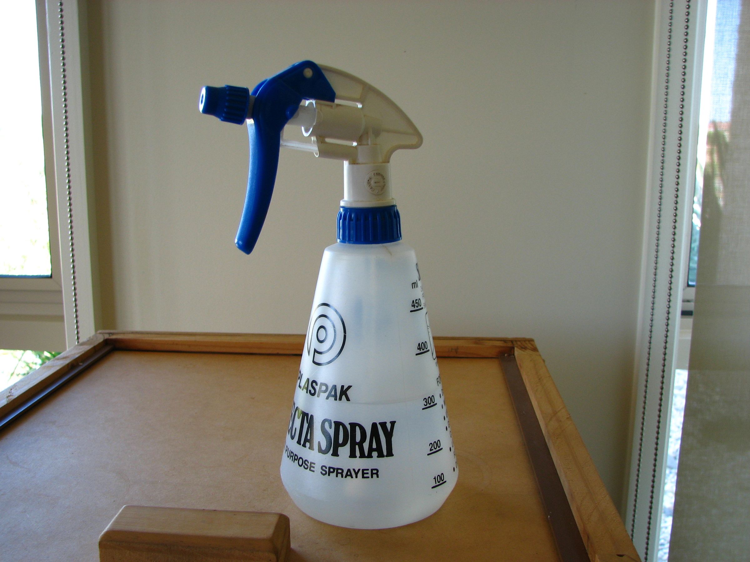 How to Keep a Pet Spiny Leaf Insect : 7 Steps (with Pictures ...