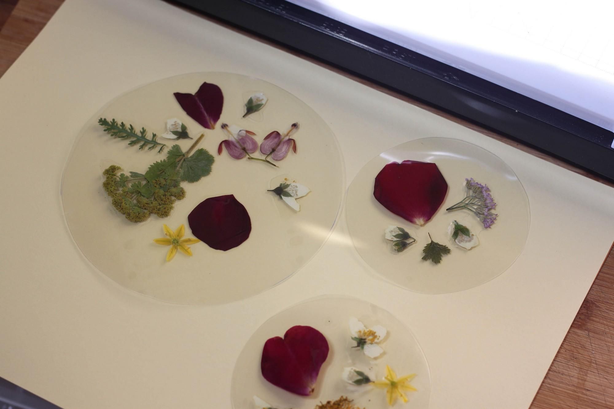 Flower Sun Catcher : 5 Steps (with Pictures) - Instructables