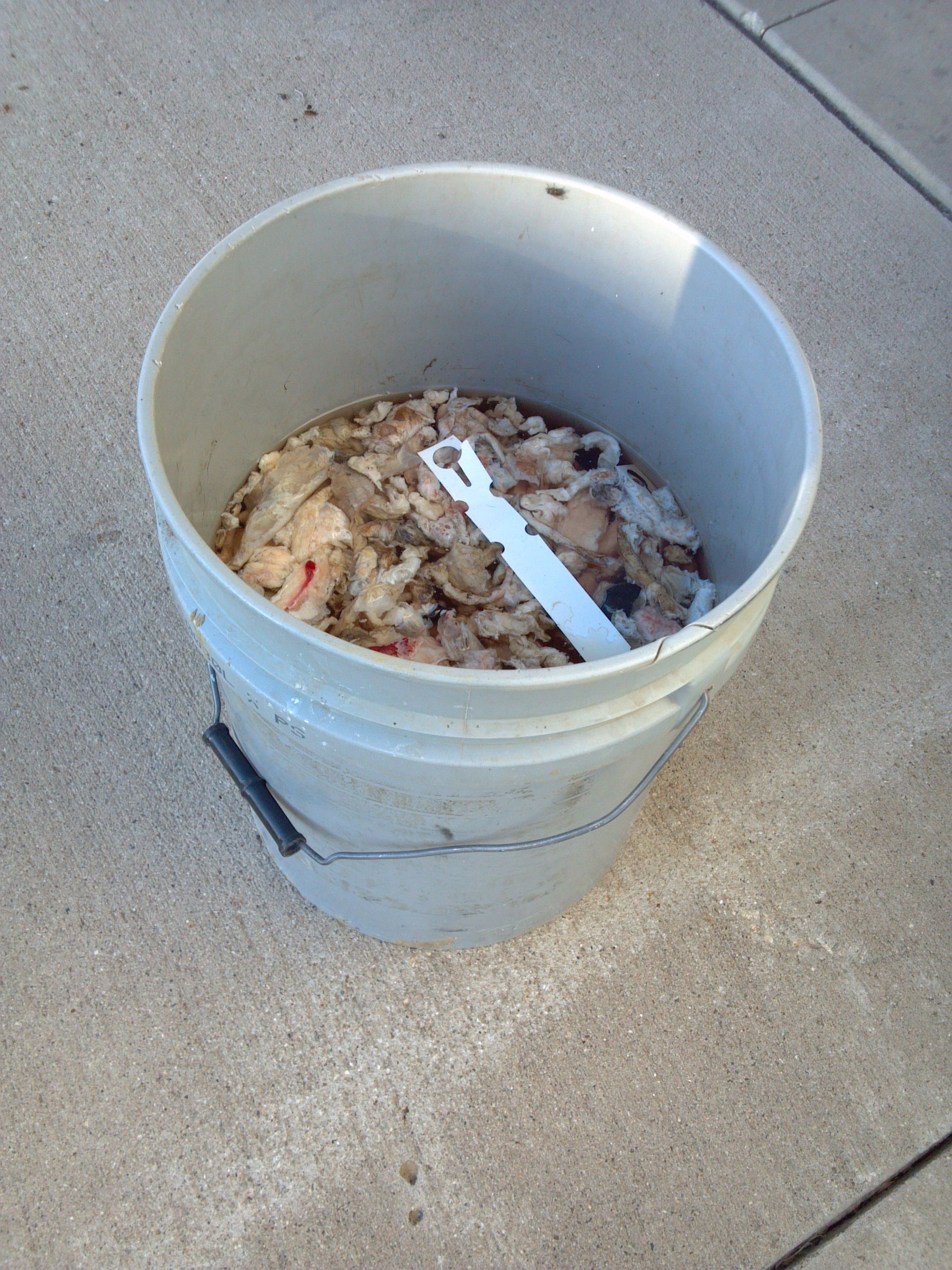 How to Tan and Make a Cow Hide Dress : 12 Steps (with Pictures ...