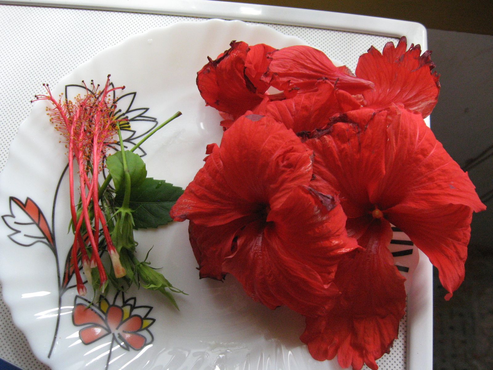 Hibiscus Tea With Fresh Flowers and Honey : 7 Steps (with Pictures ...