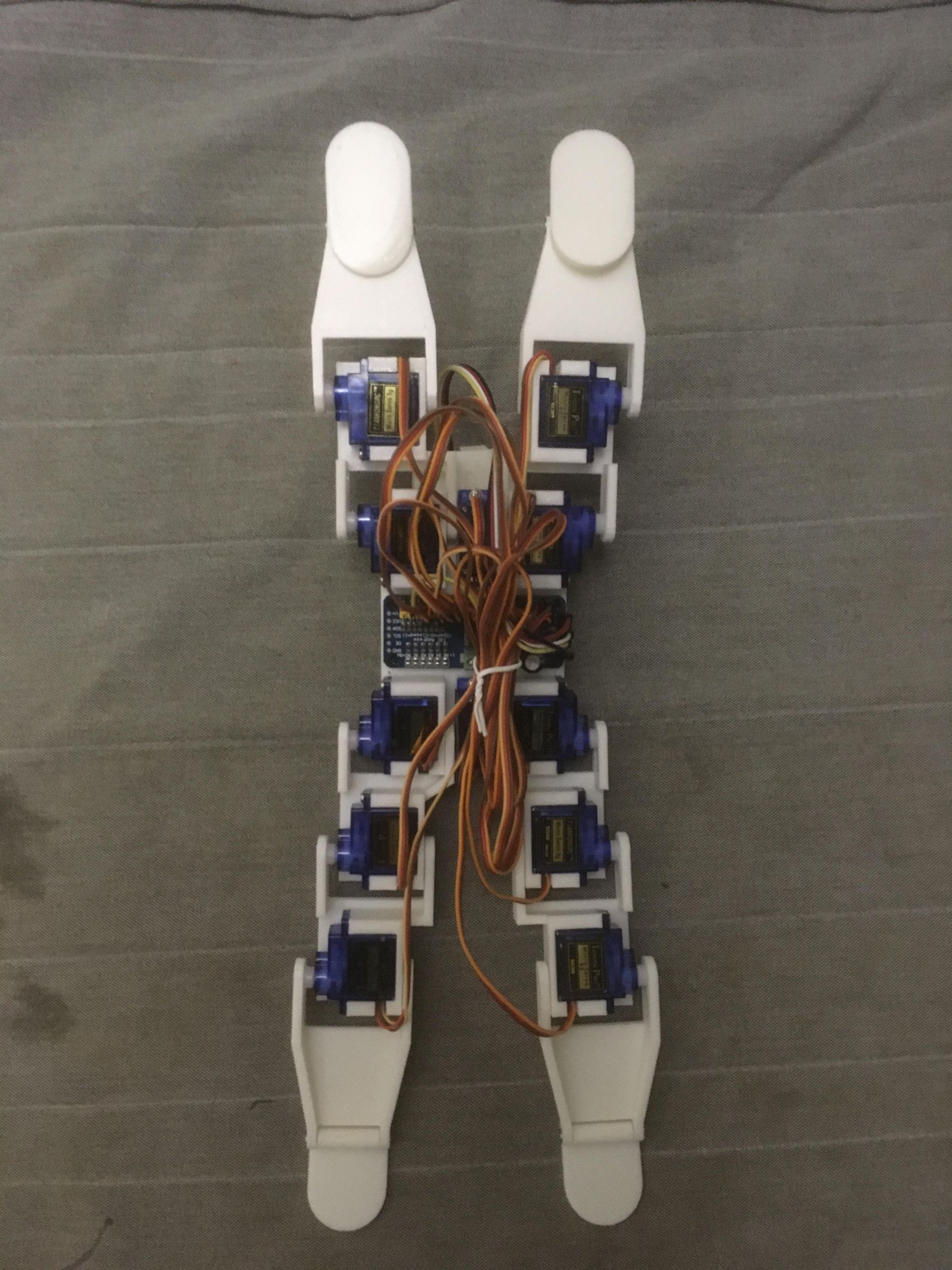 Robot Cat : 20 Steps (with Pictures) - Instructables