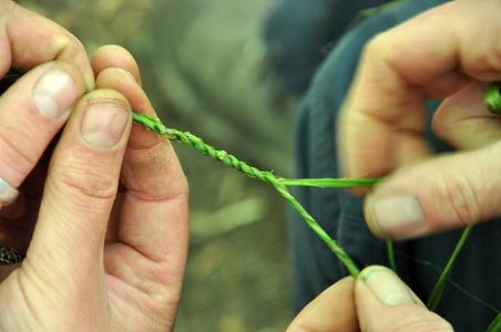 Making Survival Cord From Nettles : 5 Steps - Instructables
