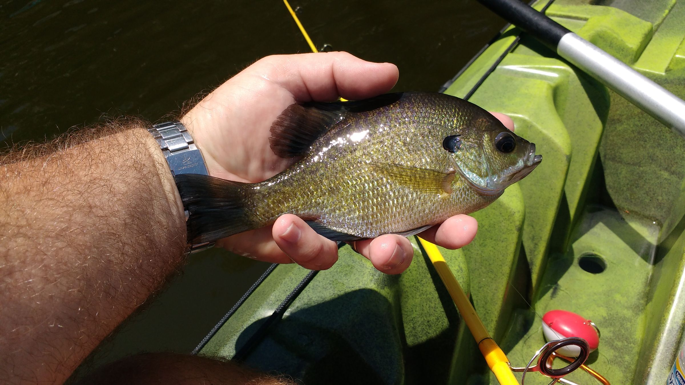 Fishing: Make a Drop Shot Rig for Panfish : 5 Steps (with Pictures ...