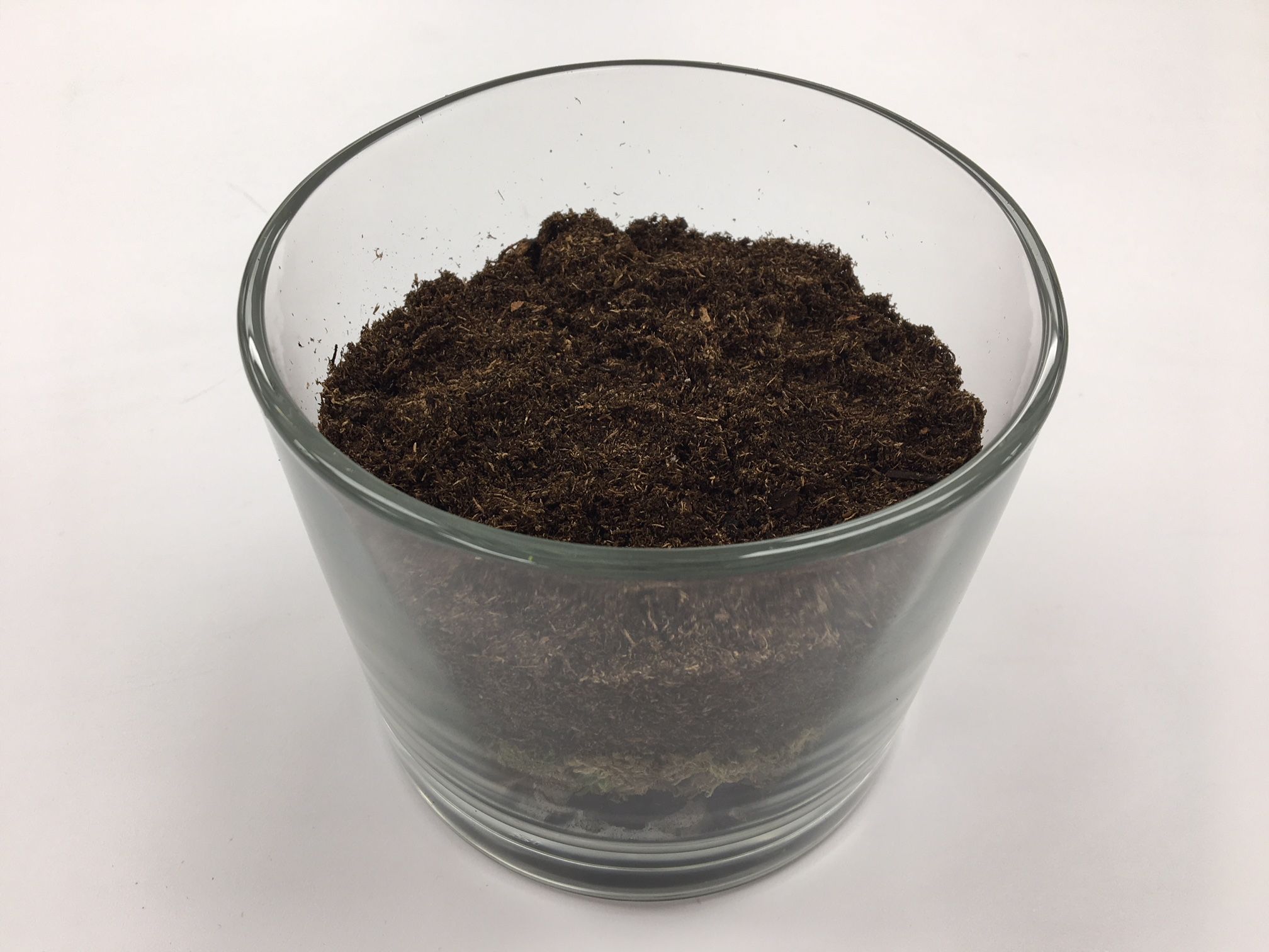 How to Make a Terrarium : 11 Steps (with Pictures) - Instructables