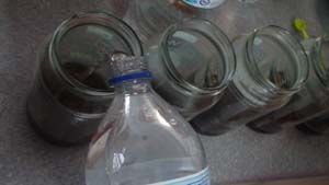 How to Brew Proper Water Kefir : 6 Steps (with Pictures) - Instructables
