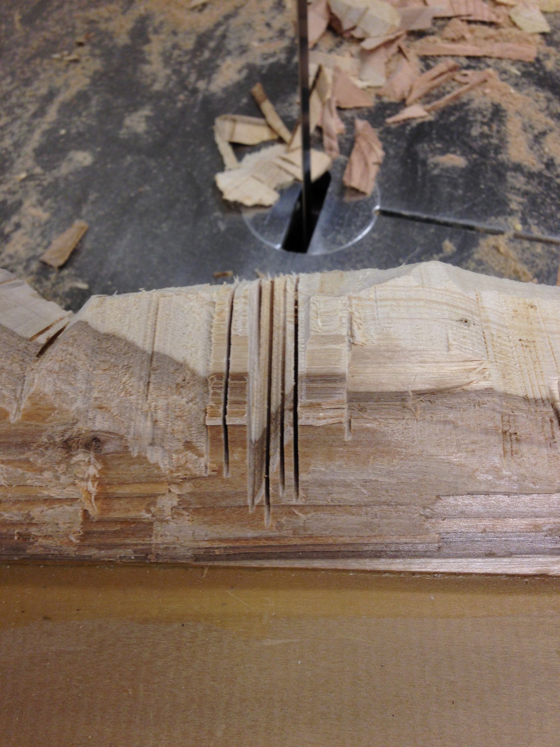 Making a Wood Block, Ready for Sculpting, From Different Species : 3 ...