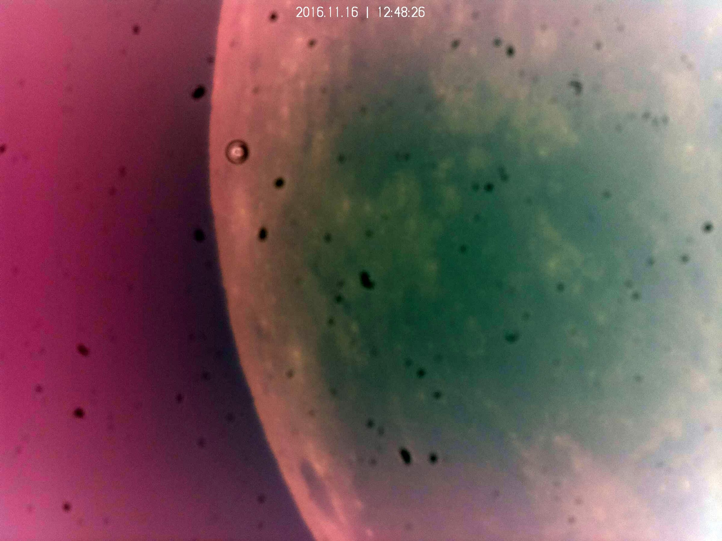 Astrophotography With the Raspberry Pi Zero. : 11 Steps (with Pictures) - Instructables