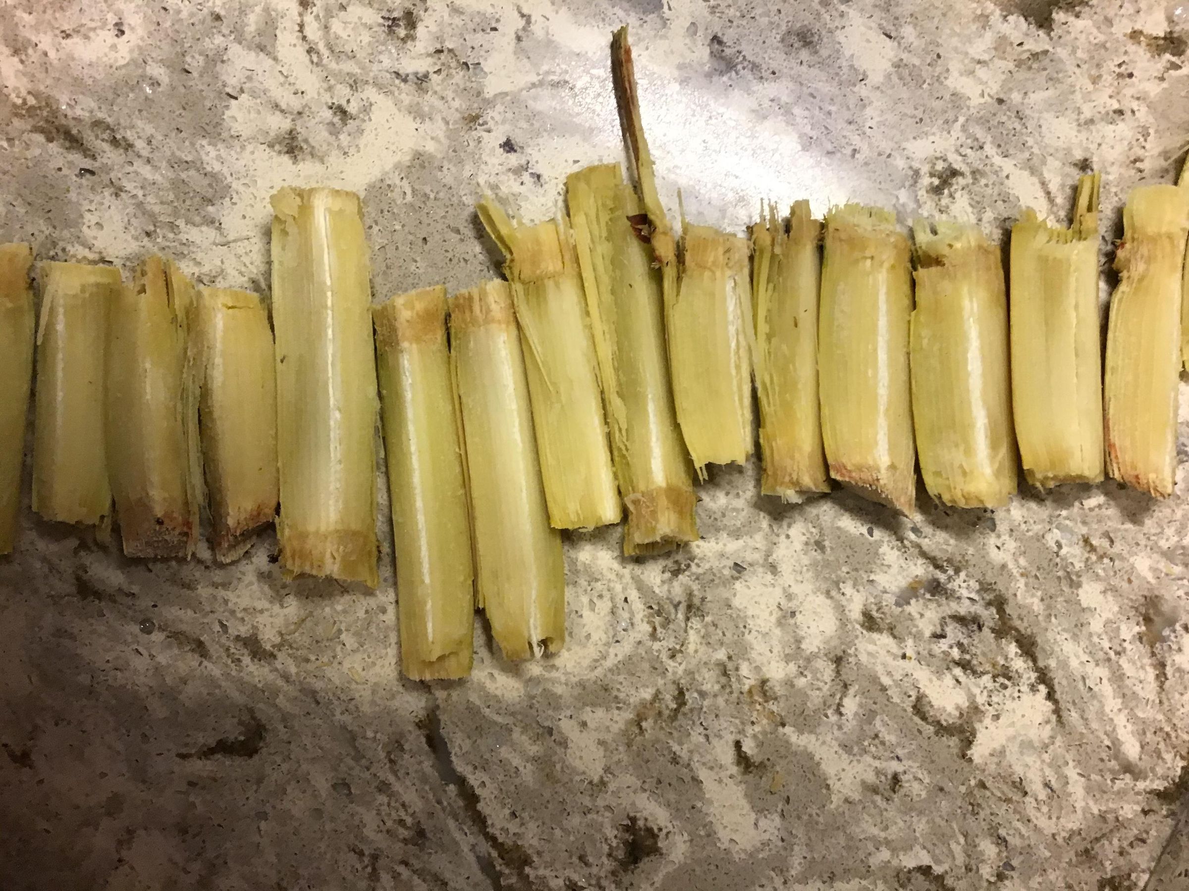 How to Prepare and Eat Raw Sugarcane! : 3 Steps - Instructables
