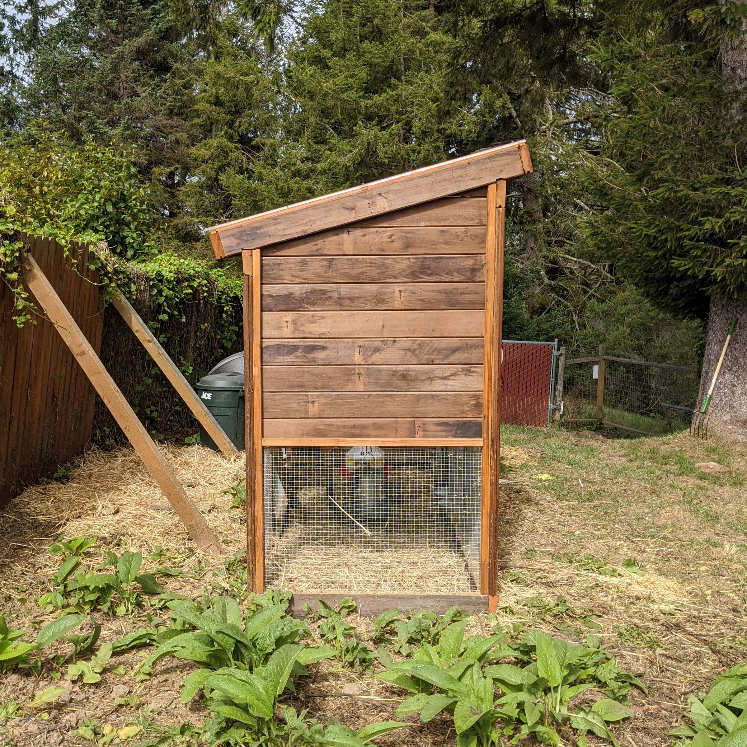 Hen Saloon : 16 Steps (with Pictures) - Instructables