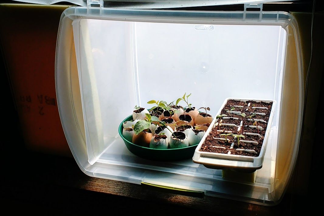 Window Greenhouse : 8 Steps (with Pictures) - Instructables